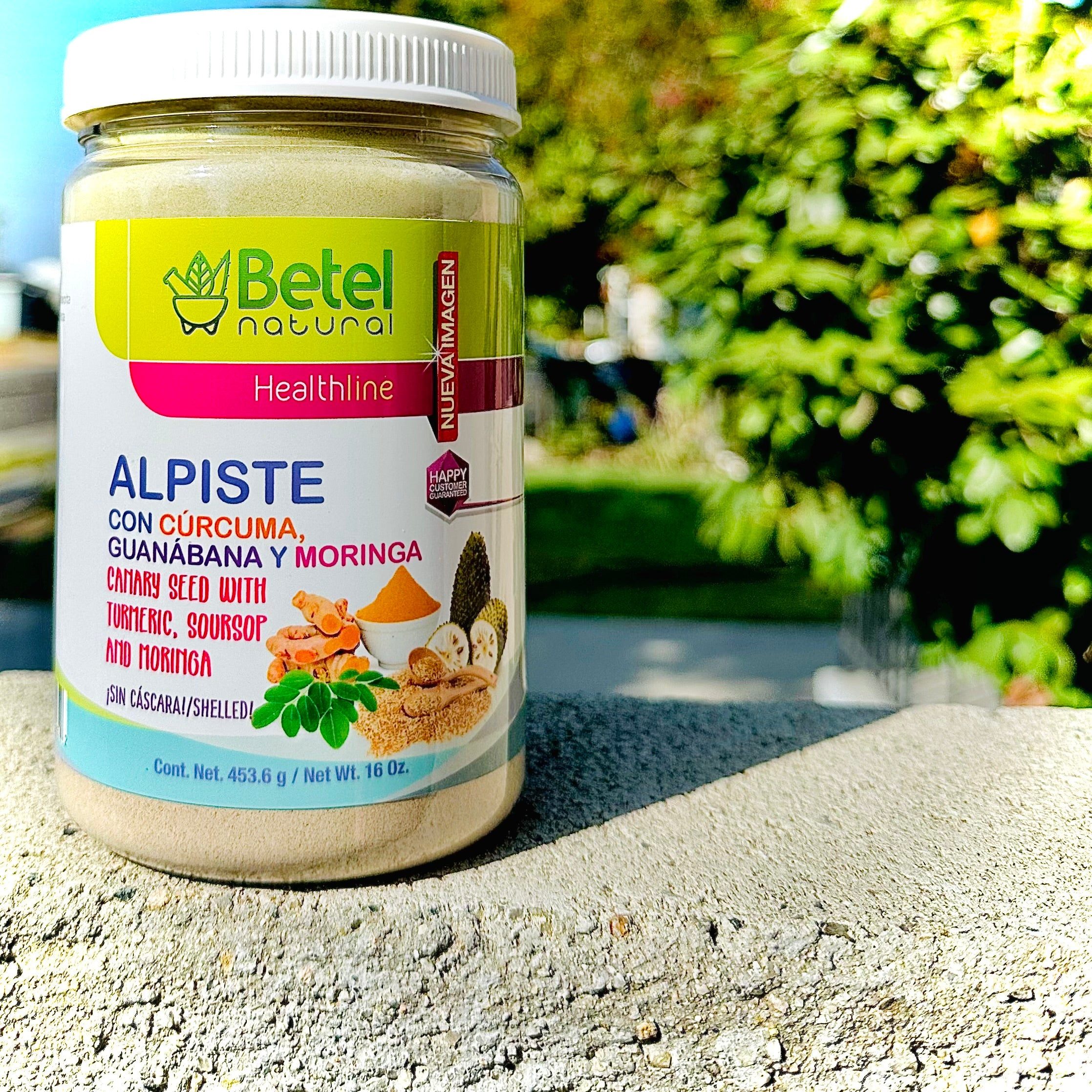 Alpiste Con CÚrcuma GuanÁbana Y Moringa 16 Oz 1lb Medicinas