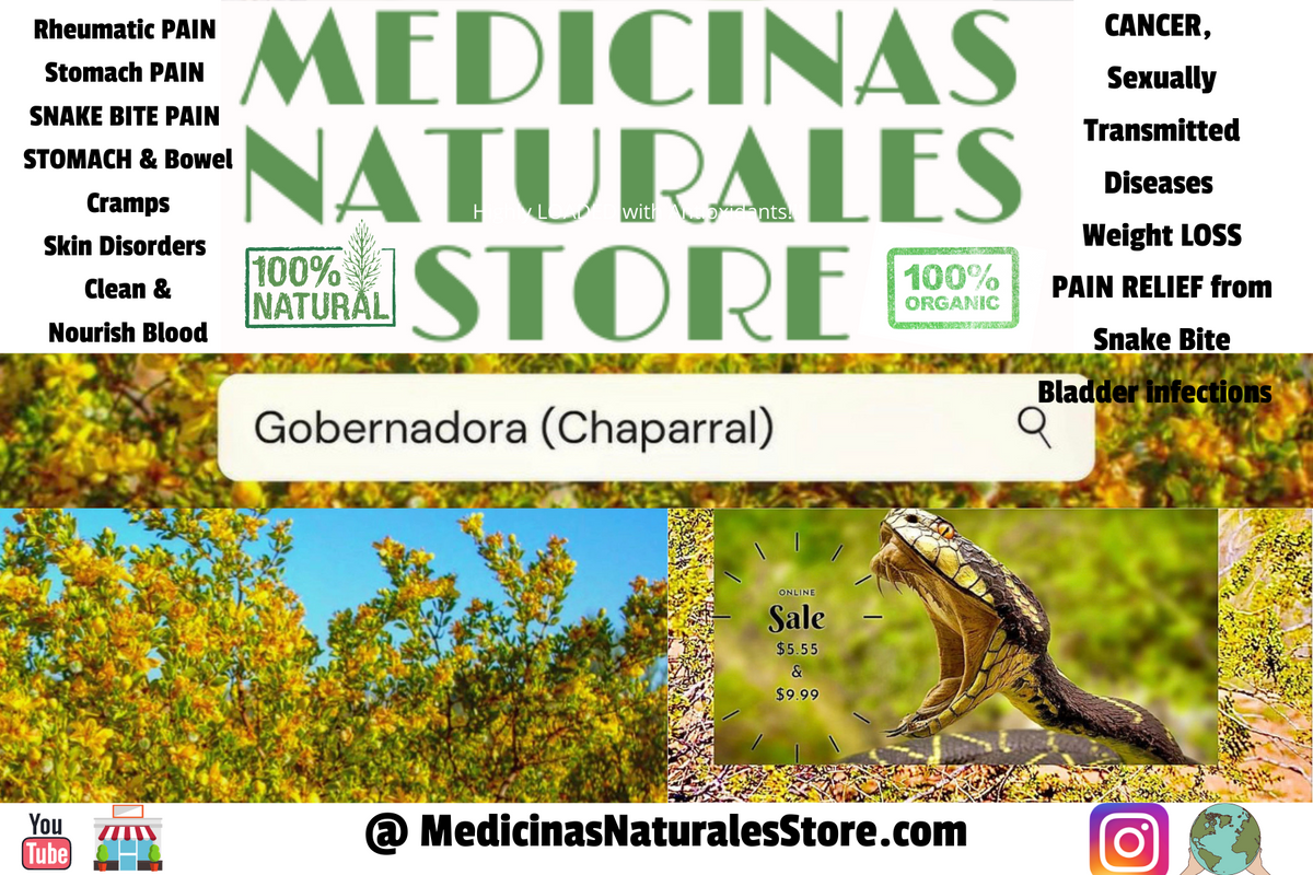 Chaparral (Gobernadora) Vegetarian Capsules – Medicinas Naturales Store LLC