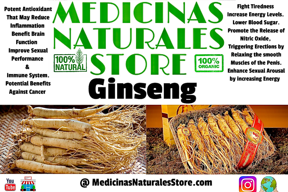 Ginseng Vegetarian Capsules – Medicinas Naturales Store LLC