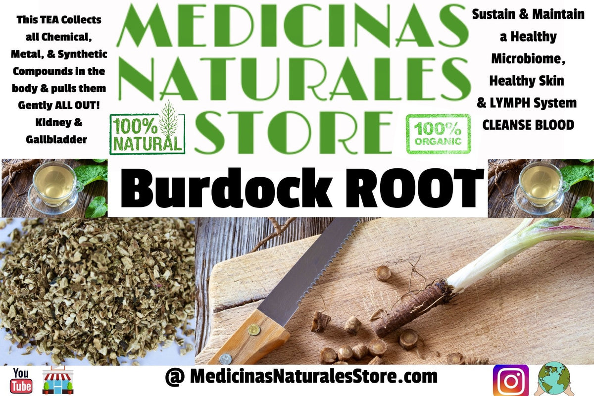 Burdock Root Vegetarian Capsules – Medicinas Naturales Store LLC