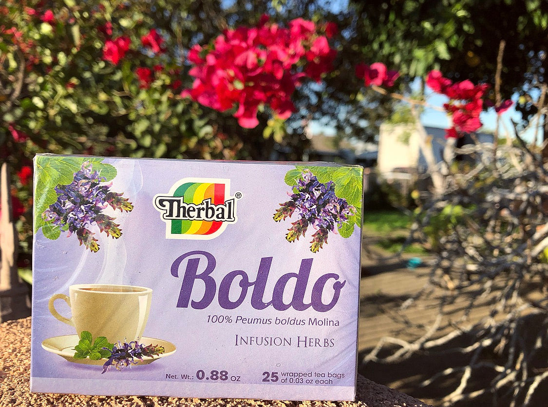 Boldo Peumus Boldus Molina Tea (25bags) – Medicinas Naturales Store LLC