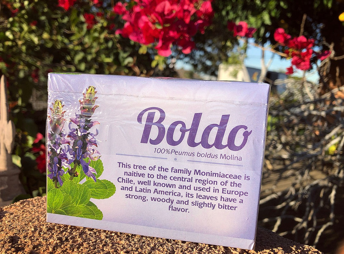 Boldo Peumus Boldus Molina Tea (25bags) – Medicinas Naturales Store