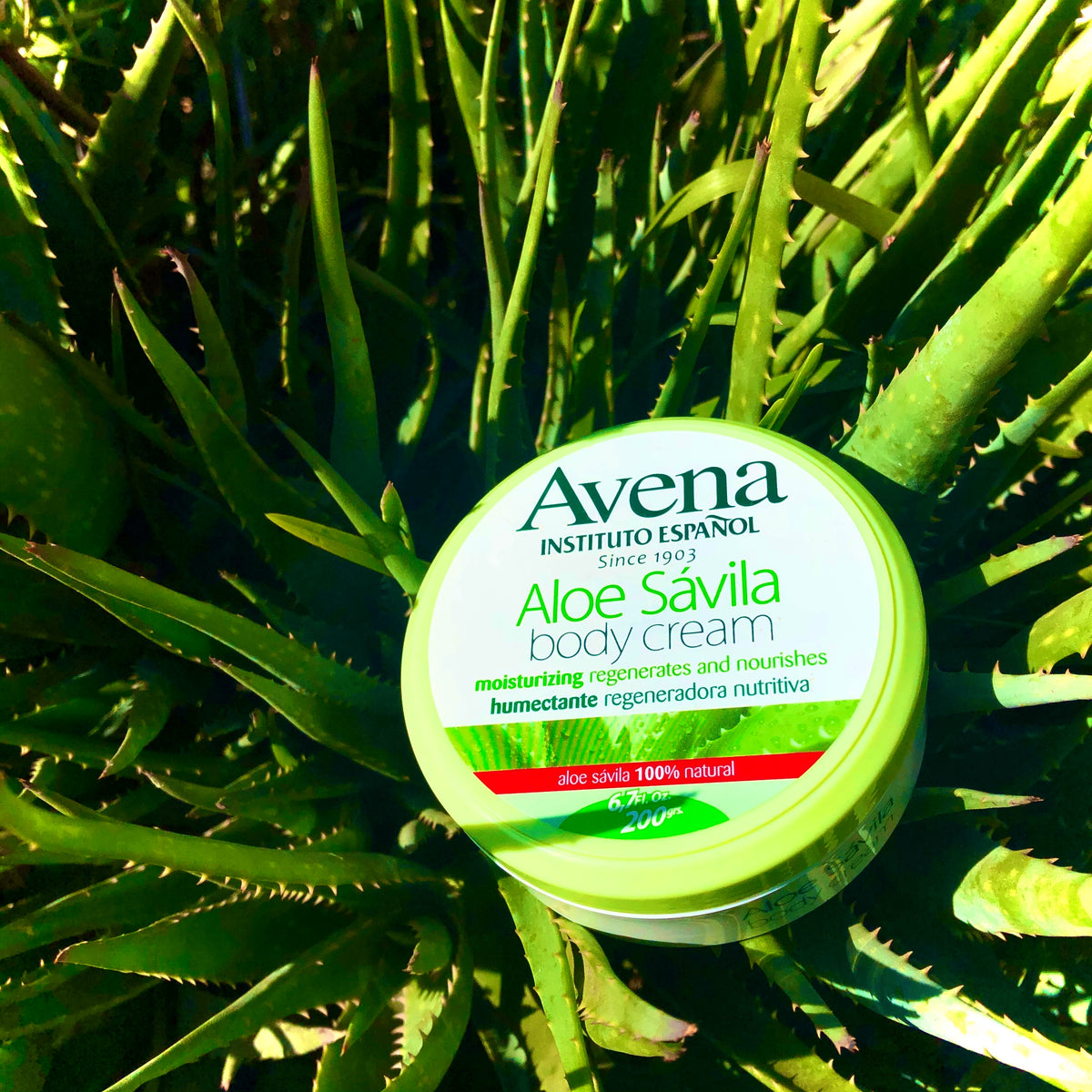Avena: Aloe Savila body cream – Medicinas Naturales Store LLC