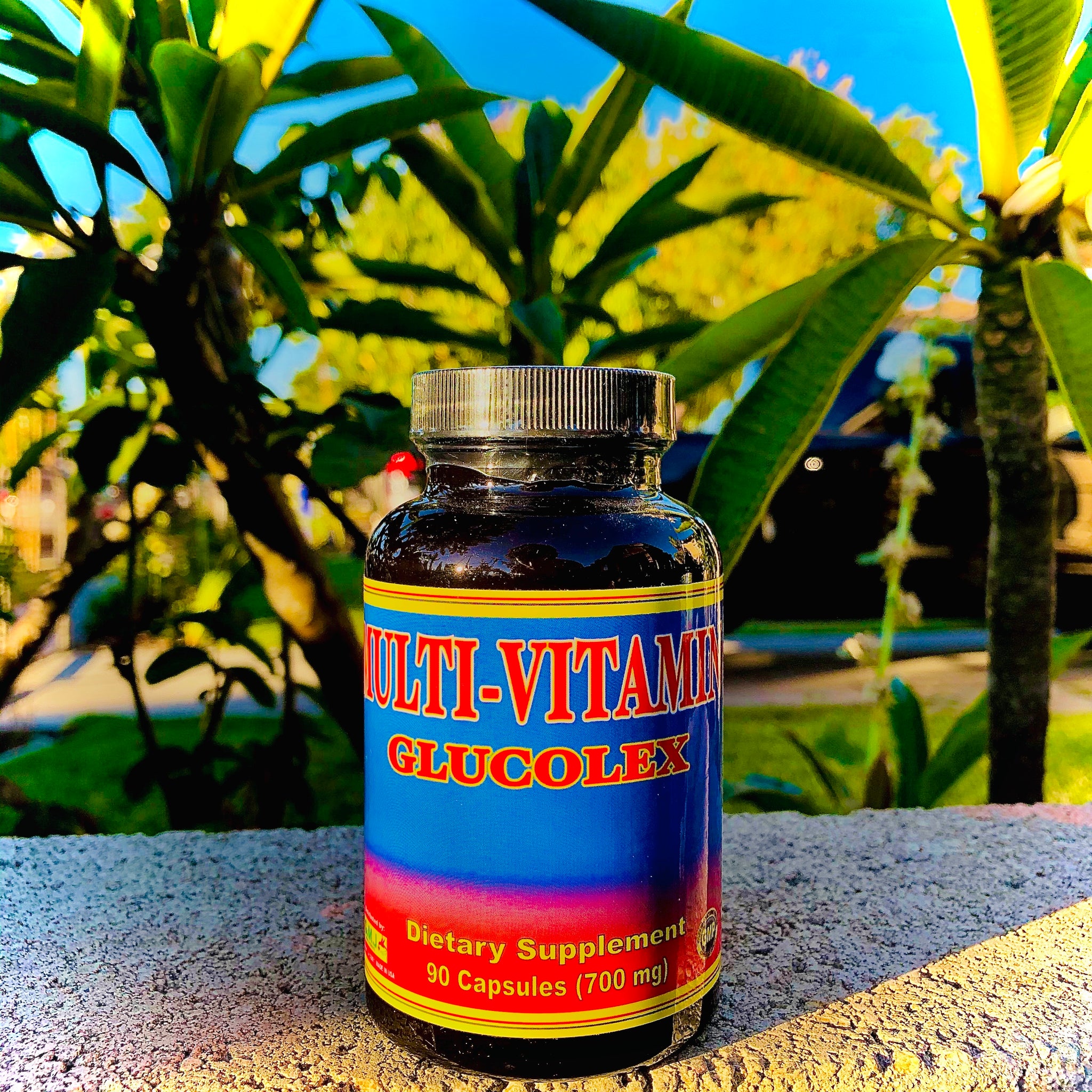 Multi-Vitamin Glucolex 90 Capsules – Medicinas Naturales Store