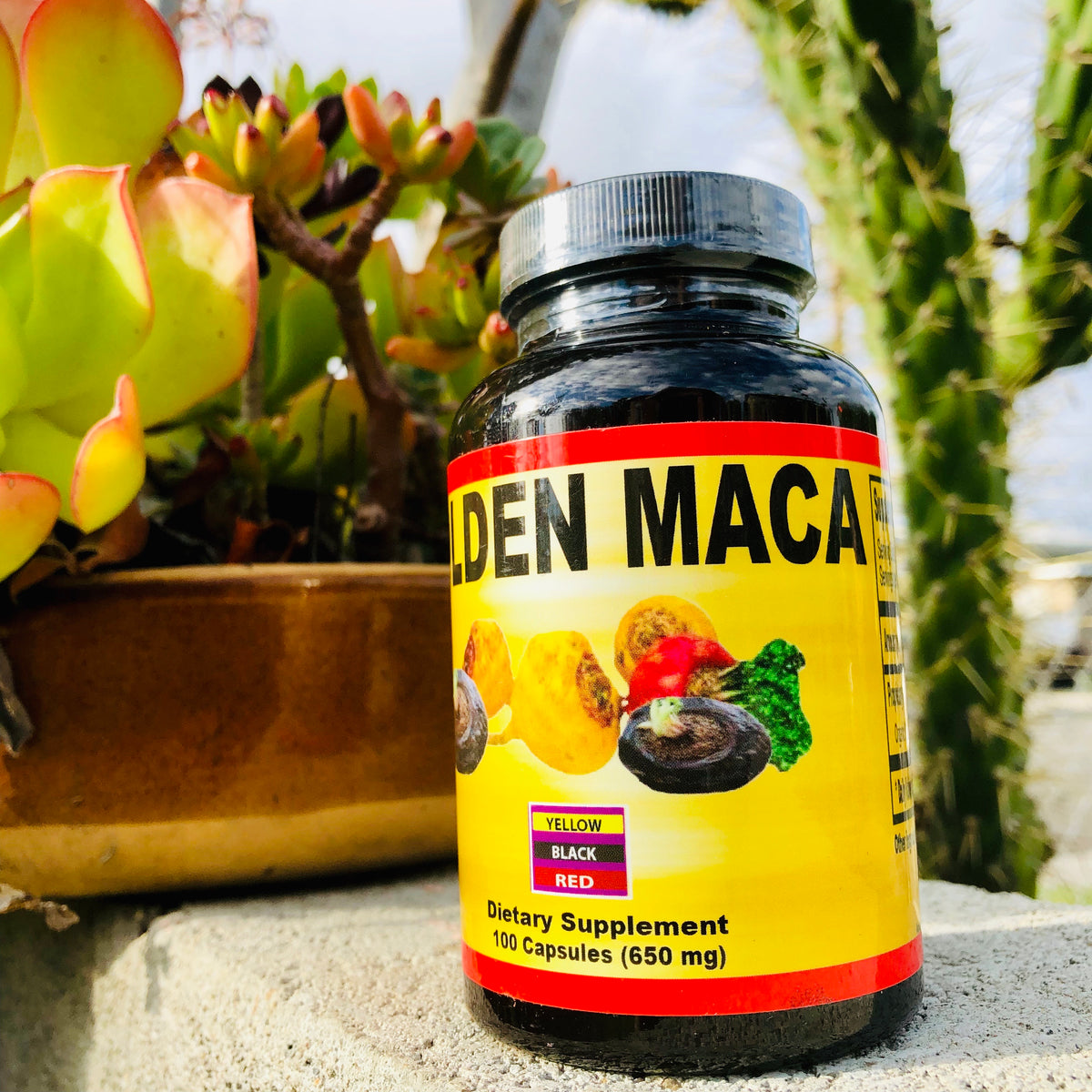 Golden MACA (100 Capsules) – Medicinas Naturales Store