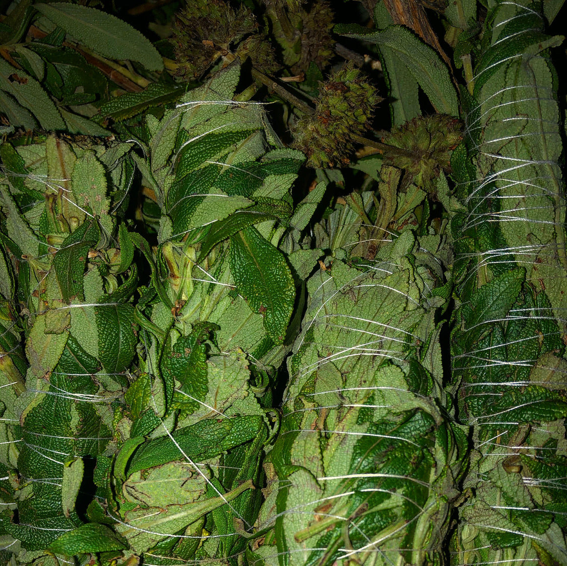 Original Black Sage Smudge Bundle | Dream Weed & Spiritual Protection ...