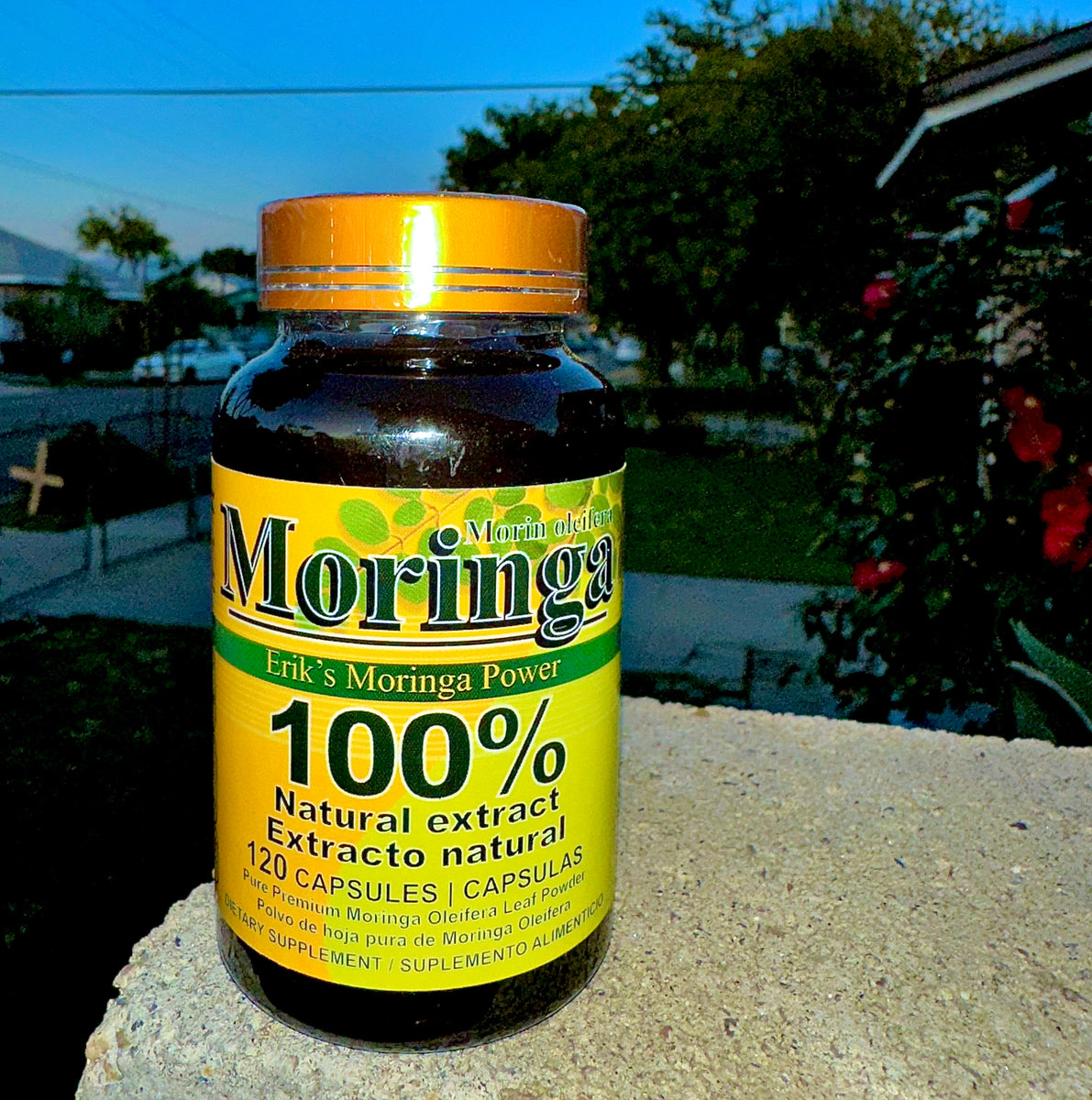 Moringa 120 Capsules – Medicinas Naturales Store LLC