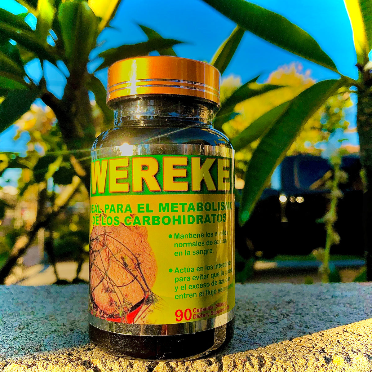 Wereke 90 Capsules – Medicinas Naturales Store LLC