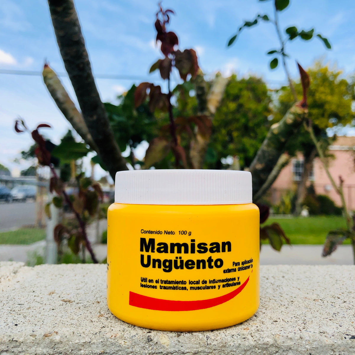 Mamisan Ungüento – Medicinas Naturales Store LLC