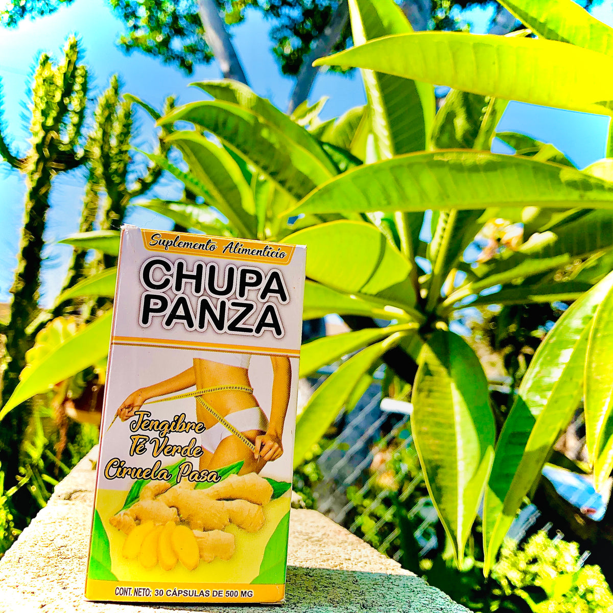 Chupa Panza 30 Capsulas de 500 MG – Medicinas Naturales Store LLC