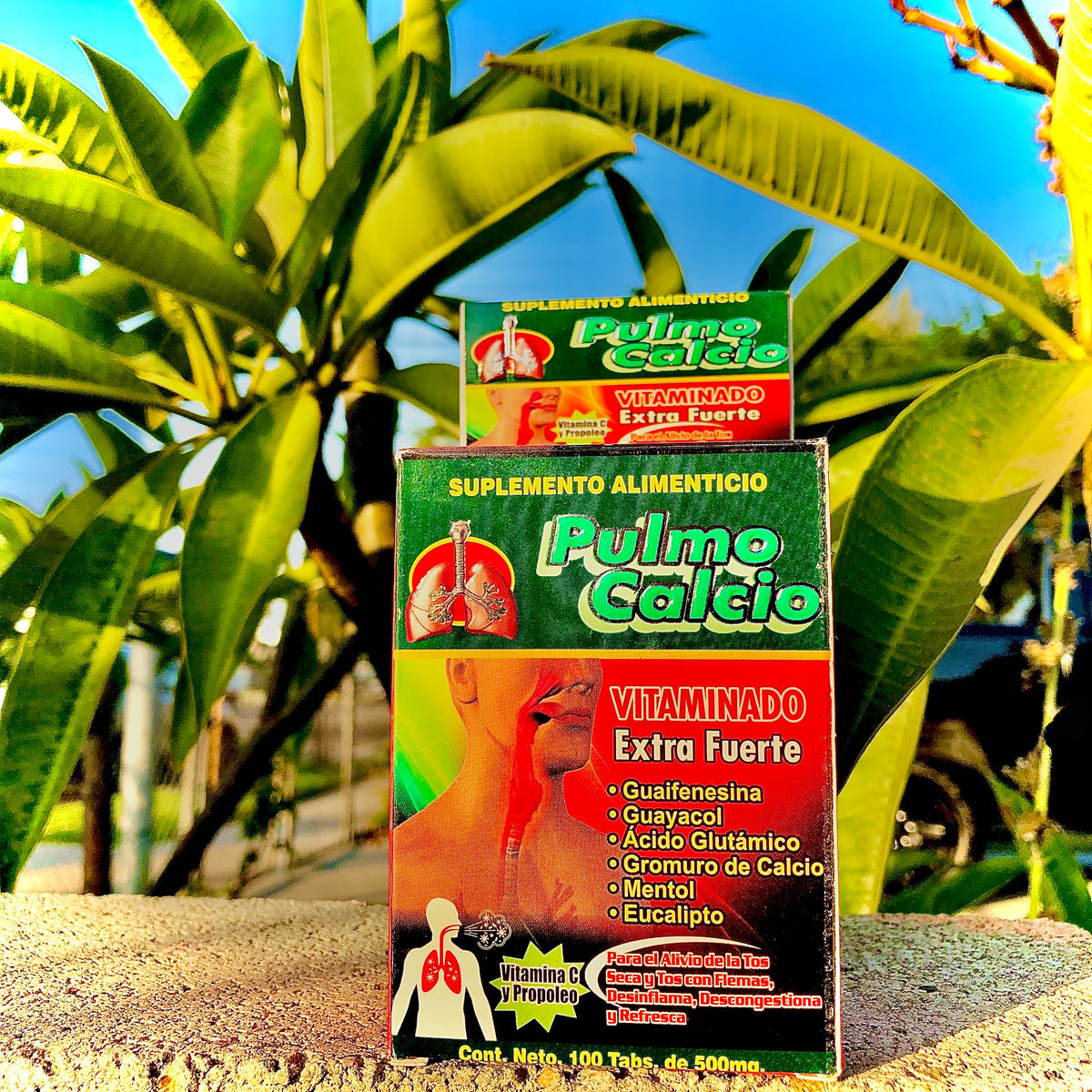 Pulmo Calcio 100 Tablets 500 mg Extra Fuerte – Medicinas Naturales ...