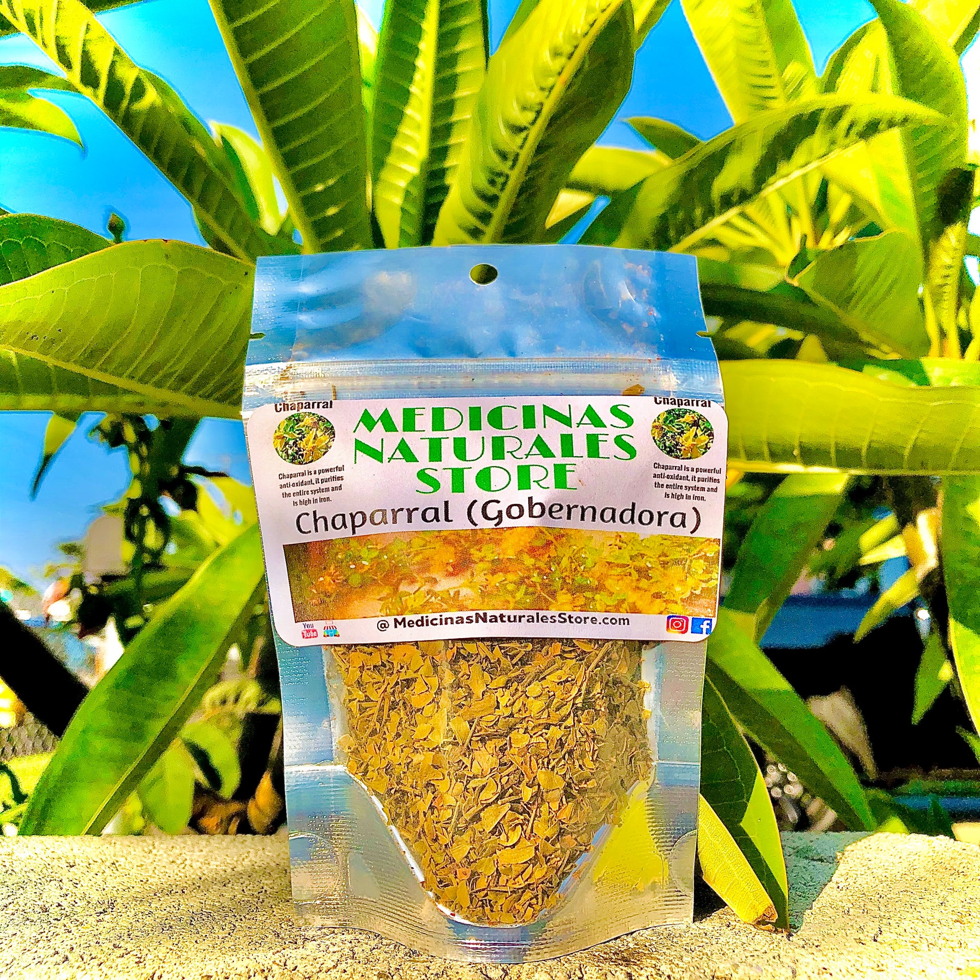 Heritage Chaparral (Gobernadora) Tea – California Wildcrafted ...