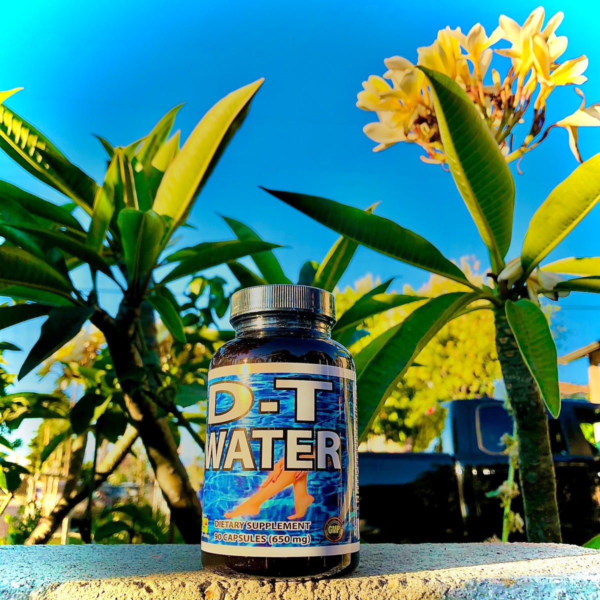 D-T Water (Water Retention)💧 90 Capsules – Medicinas Naturales Store LLC