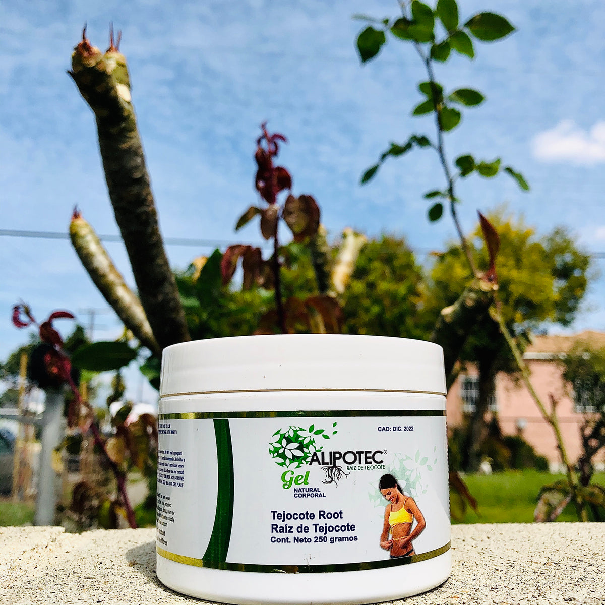 Tejocote Root Natural Gel – Medicinas Naturales Store LLC