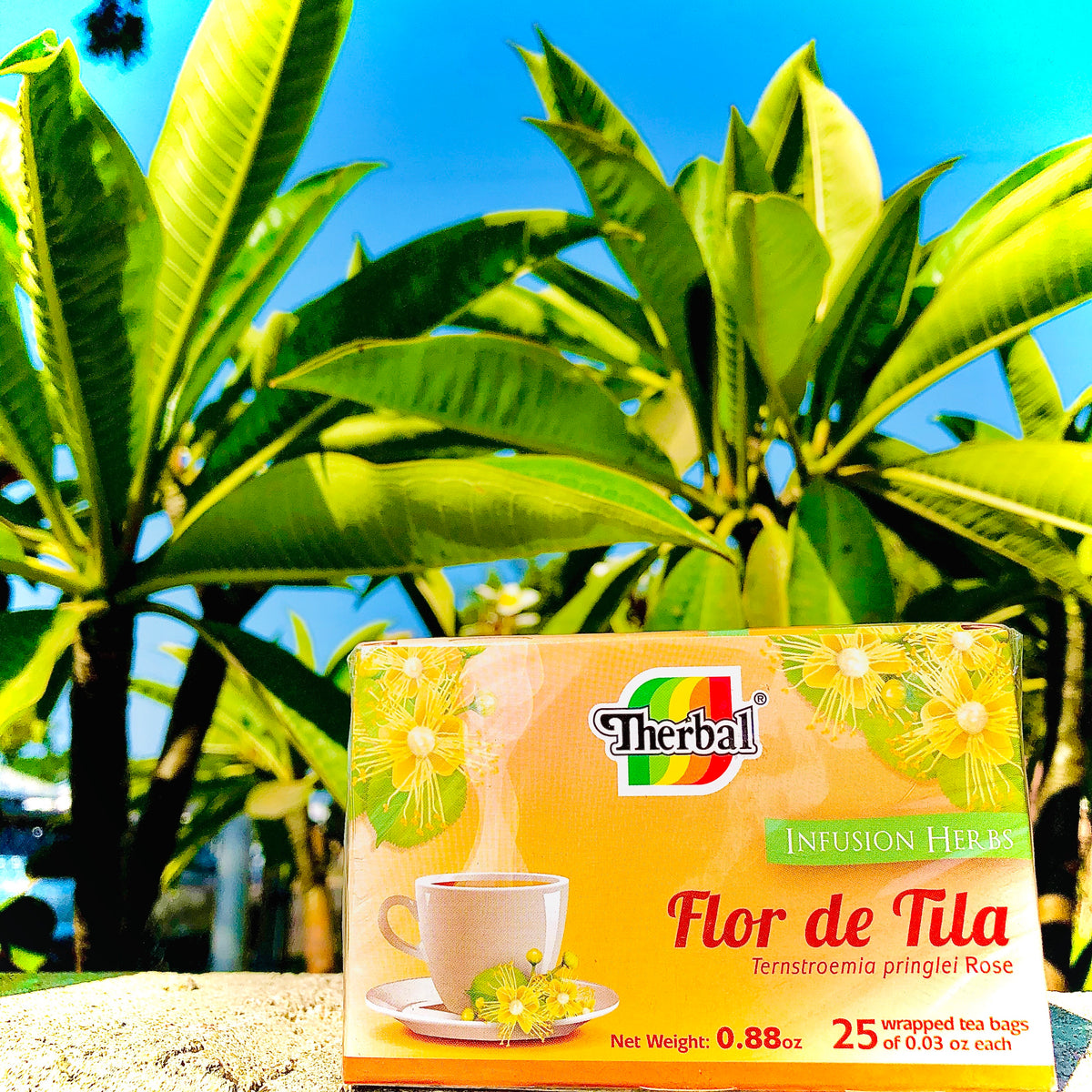 Linden Flowers 🌸 TEA ☕️ (flor de Tila) – Medicinas Naturales Store LLC
