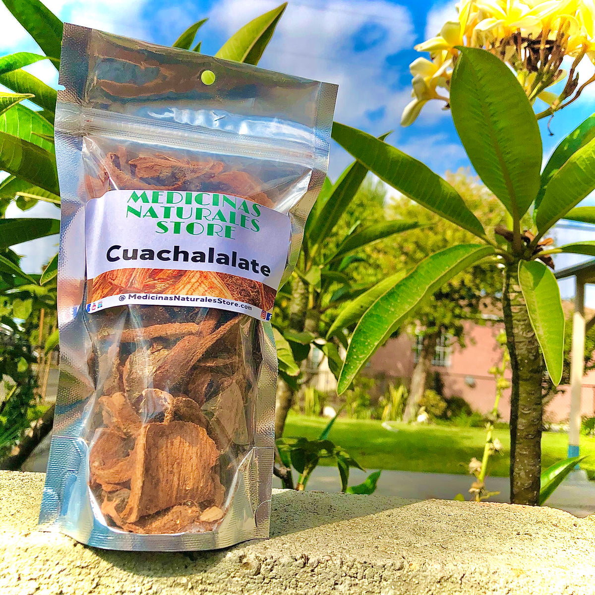 Cuachalalate – Medicinas Naturales Store LLC