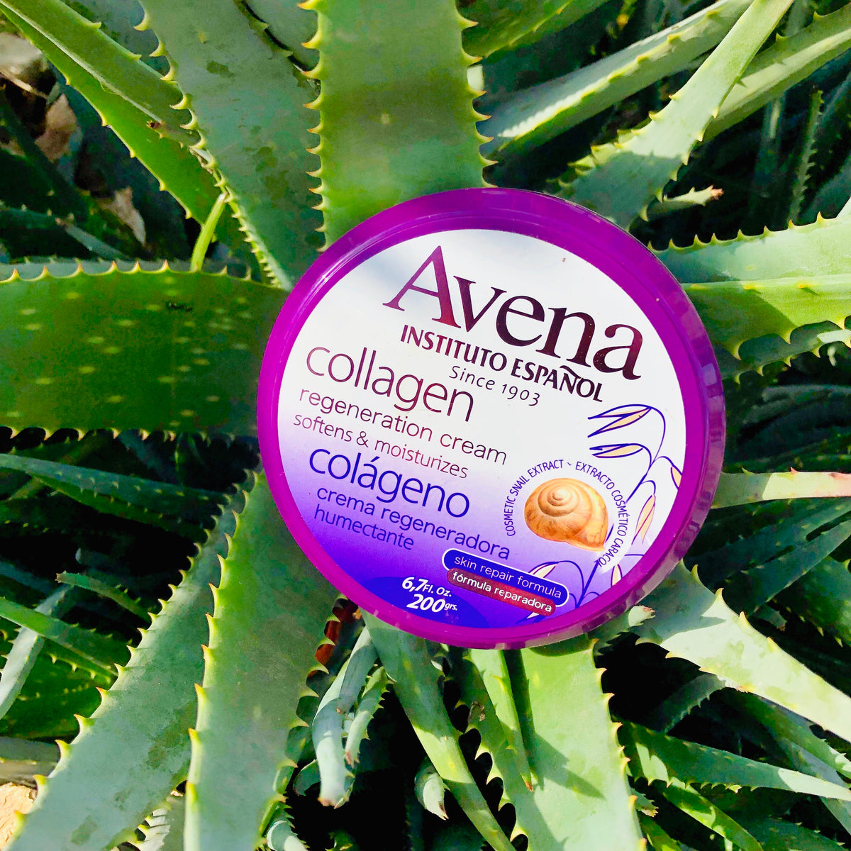 Avena: Collagen Regeneration Cream – Medicinas Naturales Store LLC