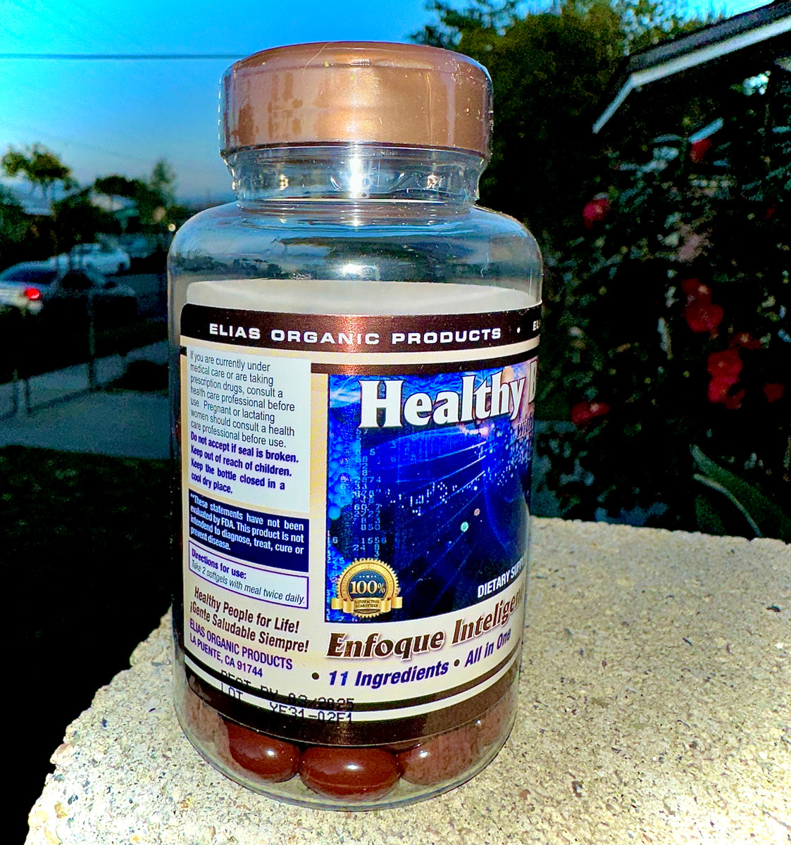 Healthy Brain Plus with Omega and Garlic 150 Softgels – Medicinas ...