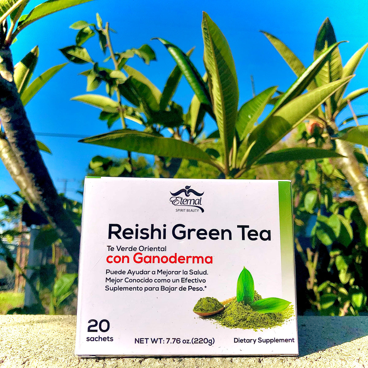 Reishi Green Tea 🍵with Ganoderma – Medicinas Naturales Store