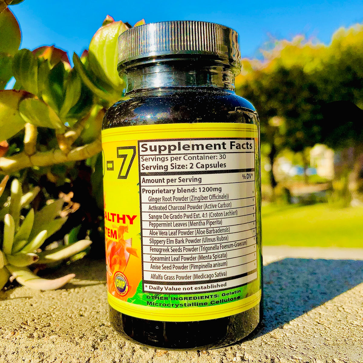 Gastro - 7 Healthy Digestive System 60 Capsules – Medicinas Naturales ...